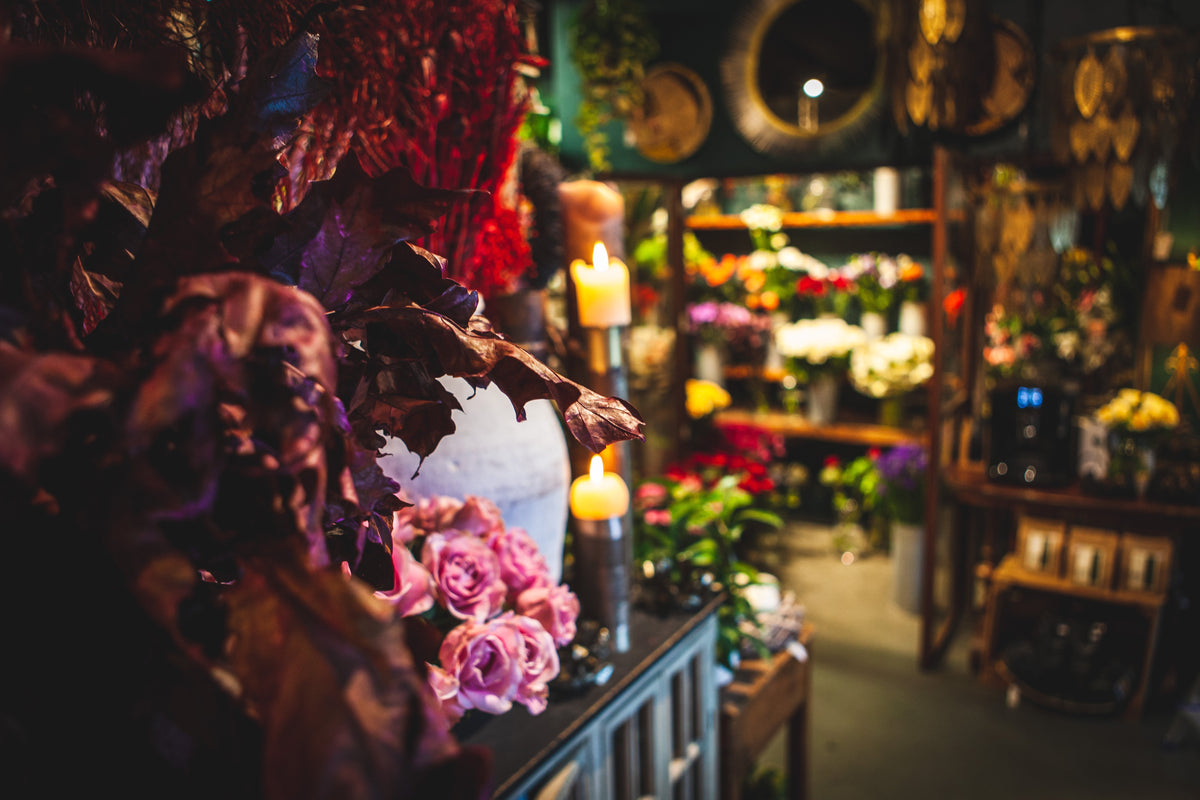 Um okkum | Blomur.fo